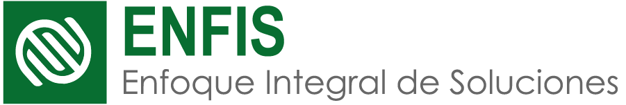 ENFIS – Enfoque Integral de Soluciones